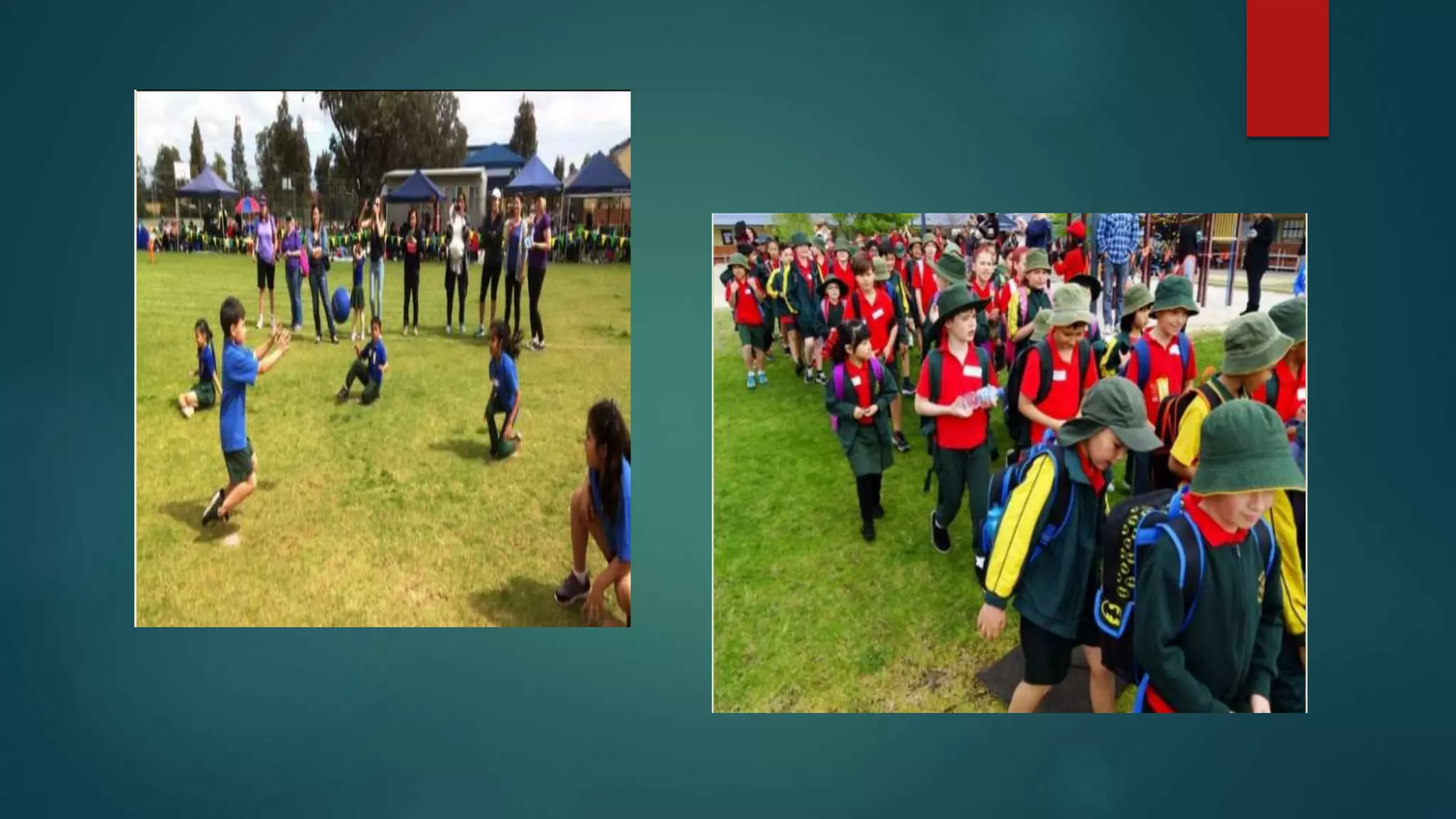 Term 3 Faction Carnival | PPTX