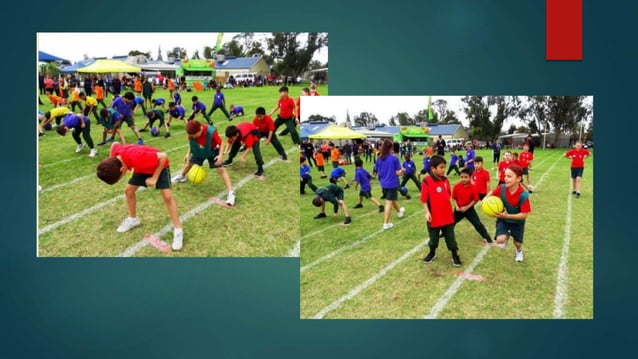 Term 3 Faction Carnival | PPTX