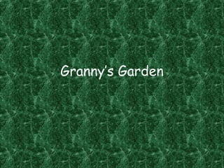 Term 3 lesson 1 granny’s garden | PPT