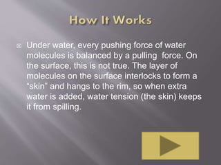 Term 3 Project Surface Tension | PPTX