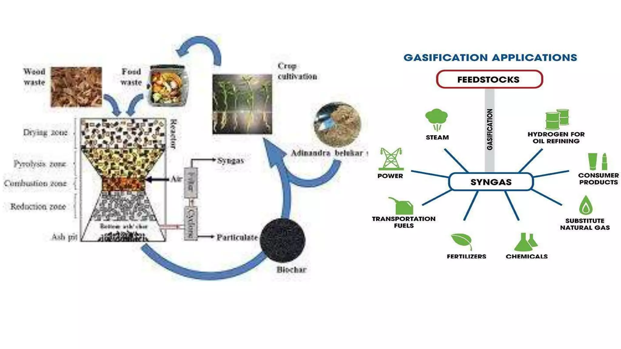 vegetable waste management | PPTX
