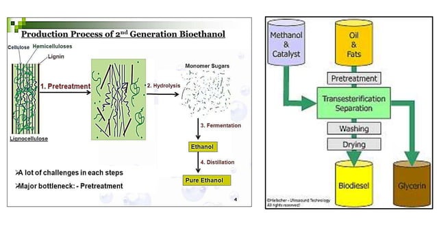 vegetable waste management | PPTX | Agriculture | Industries