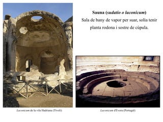 Termes | PDF