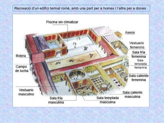 Termes romanes15