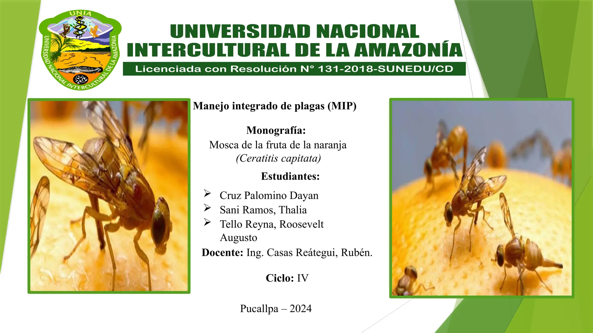 CERATITIS CAPITATA (MOSCA DE LA FRUTA)_DE_MIP.pptx