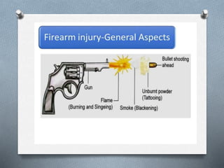 Terminal ballistics | PPTX
