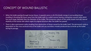 Terminal Ballistics (effect of projectile on hitting the target).pptx