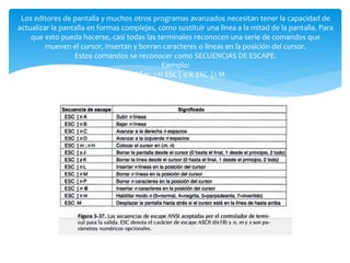 Terminales | PPT