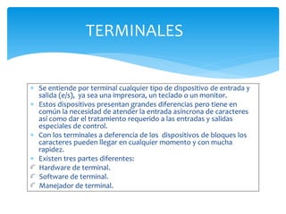Terminales | PPT