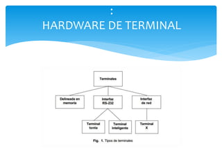 Terminales | PPT