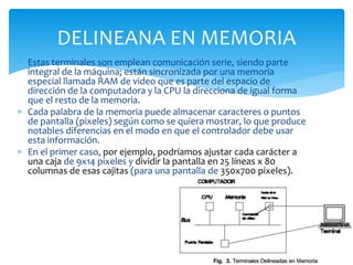 Terminales | PPT