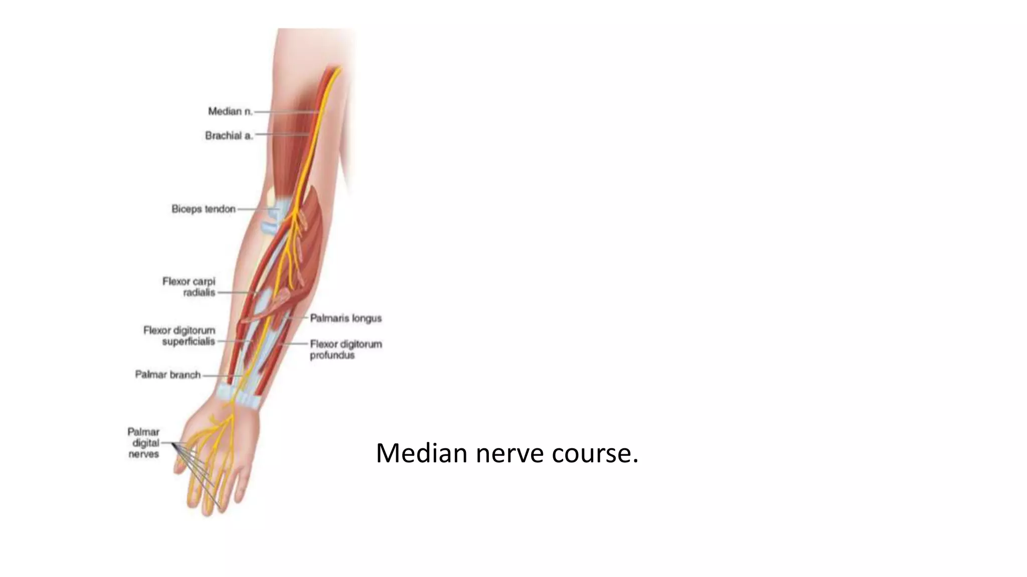 terminal nerve block.pptx