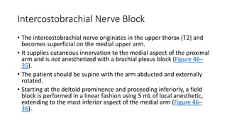 terminal nerve block.pptx