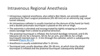 terminal nerve block.pptx