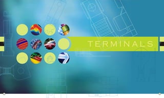 Terminal section | PDF