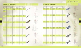 Terminal section | PDF