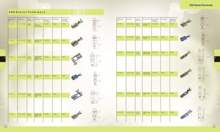Terminal section | PDF
