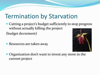Termination.project management | PPT