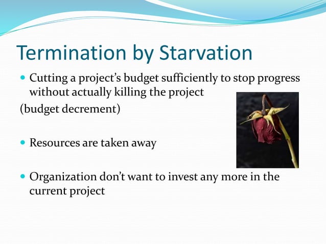 Termination.project management | PPT