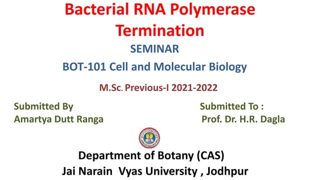 Bacterial RNA Polymerase Termination ( Intrinsic and Rho dependent ...