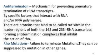 Bacterial RNA Polymerase Termination ( Intrinsic and Rho dependent ...