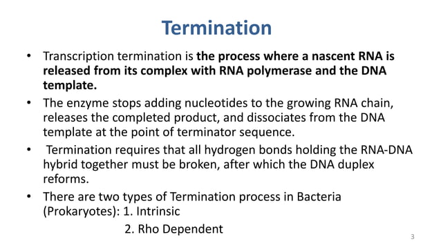 Bacterial RNA Polymerase Termination ( Intrinsic and Rho dependent termination) | PPTX