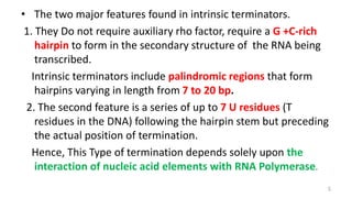 Bacterial RNA Polymerase Termination ( Intrinsic and Rho dependent ...