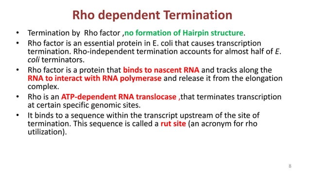 Bacterial RNA Polymerase Termination ( Intrinsic and Rho dependent ...