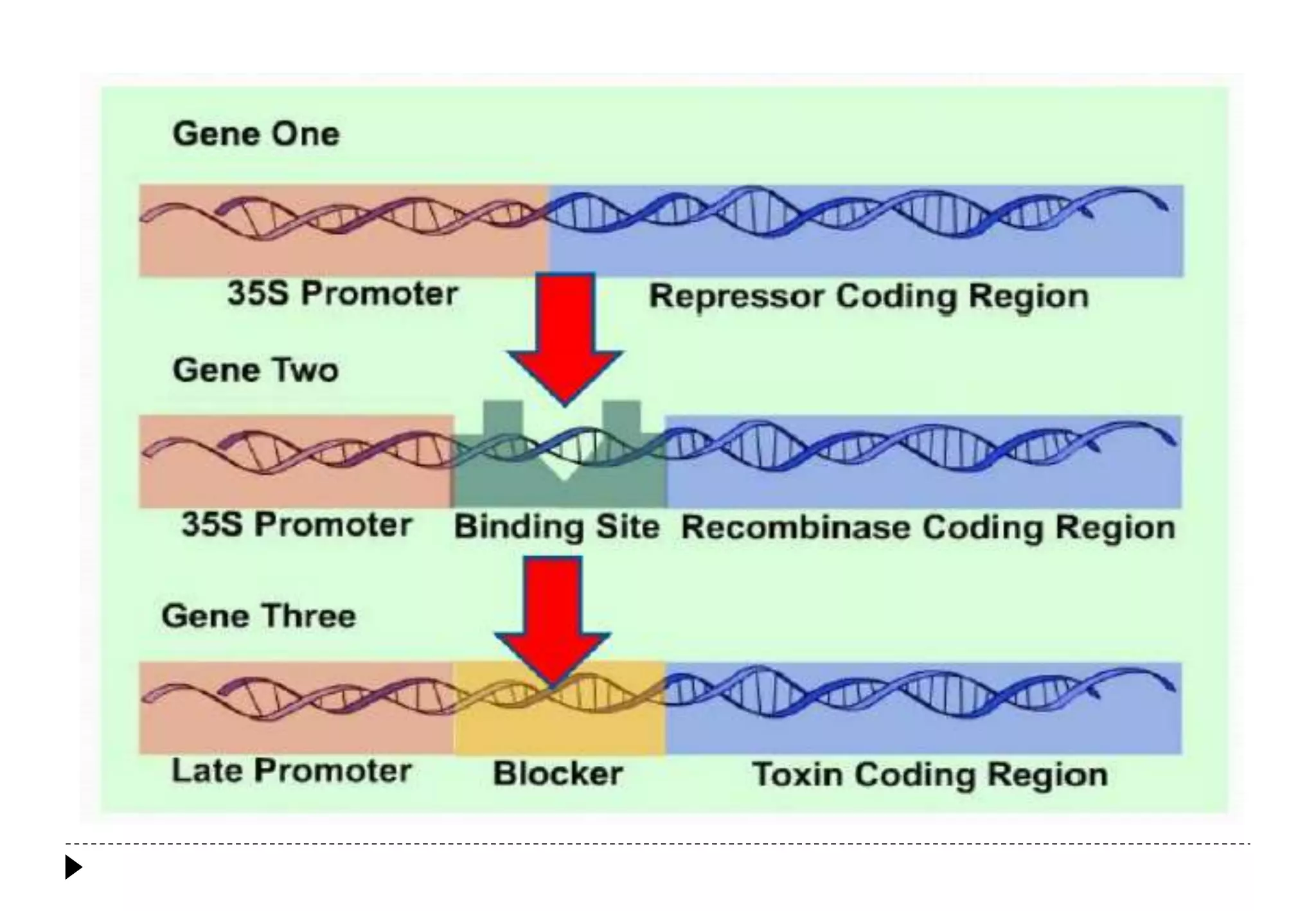 Terminator technology | PPTX