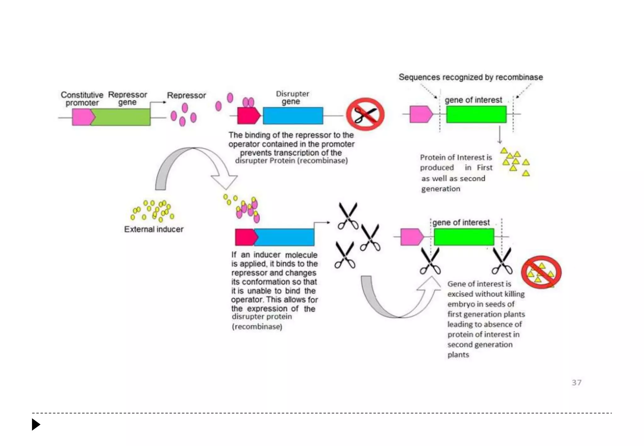 Terminator technology | PPTX