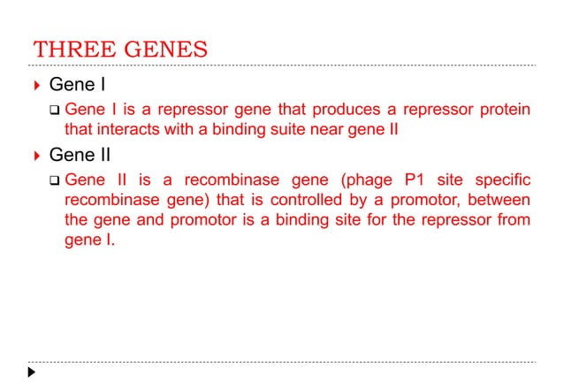Terminator technology | PPTX