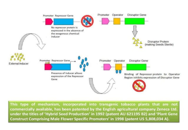 Terminator technology | PPTX