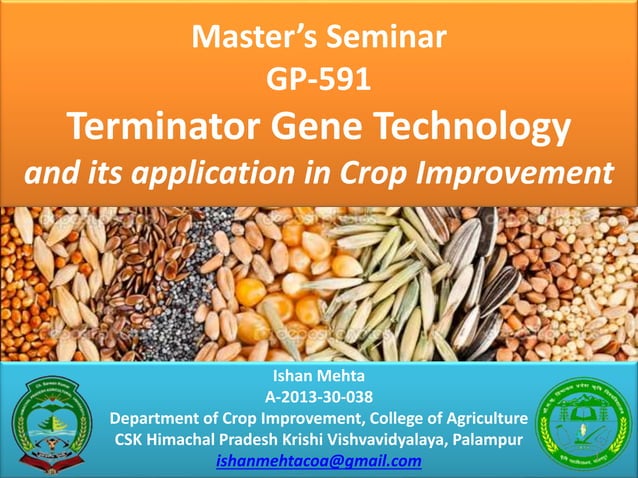 Terminator gene technology & its applications in crop improvement ...