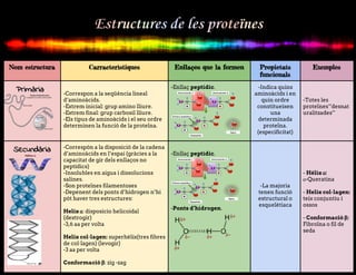 (Terminat)taula de les estructures de les proteïnes | PDF
