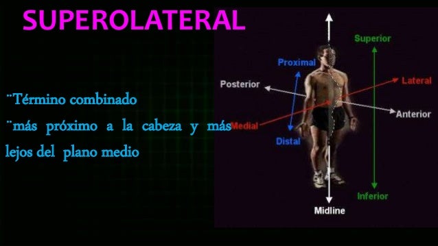 TERMINOLOGIA MÉDICA BÁSICA PARA EL ESTUDIO DE LA ANATOMÍA HUMANA
