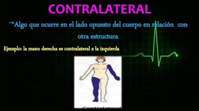 TERMINOLOGIA MÉDICA BÁSICA PARA EL ESTUDIO DE LA ANATOMÍA HUMANA