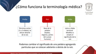 terminología anatómica.pptx