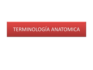 Terminología anatomica | PPTX