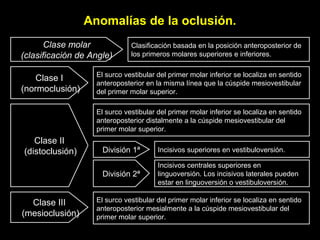 Terminologia ortodontica | PPT