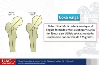 Terminología ortopedica | PPTX