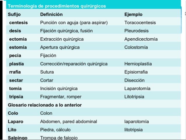 Terminologia Significado