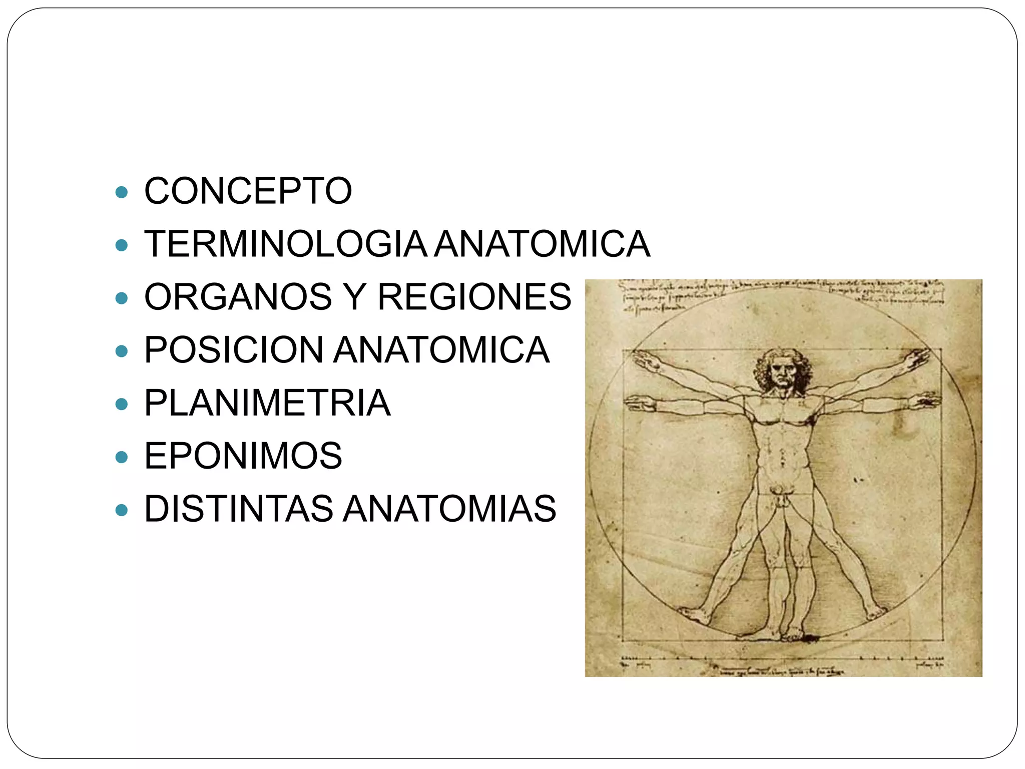 Terminologia anatomica | PPT