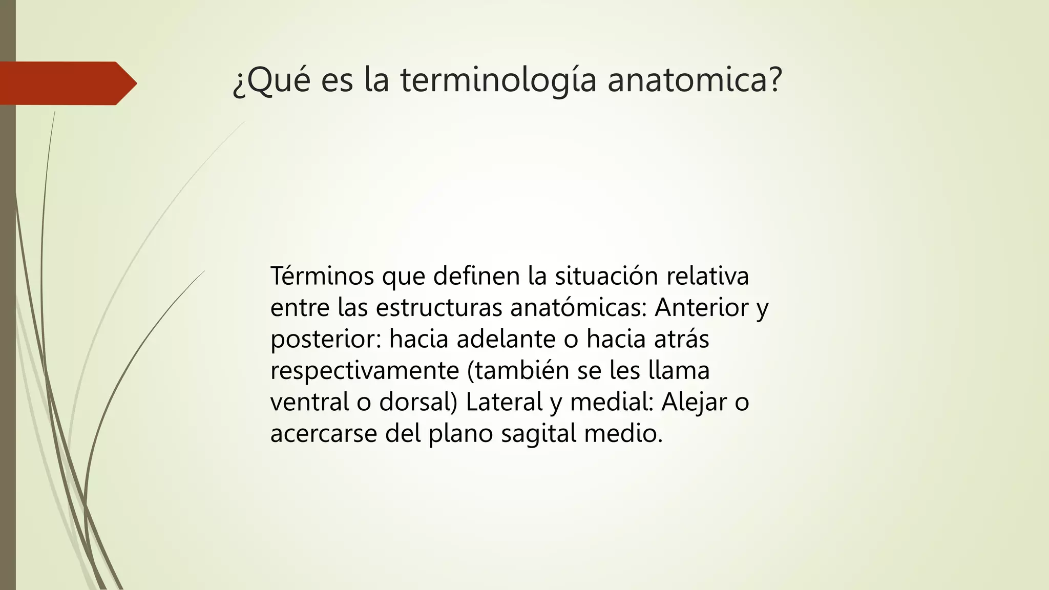 TERMINOLOGIA ANATOMICA.pptx
