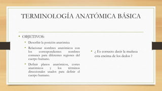 TERMINOLOGÍA ANATÓMICA BÁSICA PARA ESTUDIANTES.pptx. | PPTX