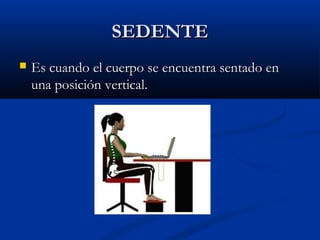 Terminologia anatómica | PPT