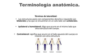 TERMINOLOGIA ANTOMICA.pptx