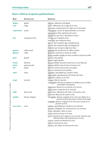 Terminologia medica | PDF