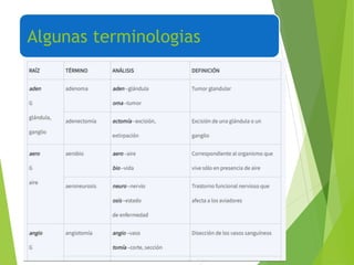 TERMINOLOGIA MEDICA.pptx