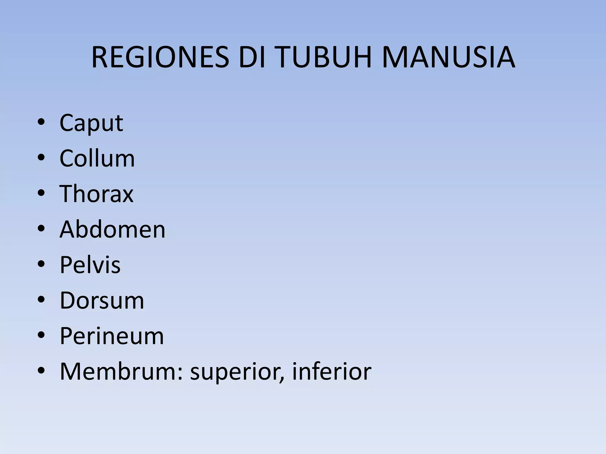 Terminologi anatomi | PPTX