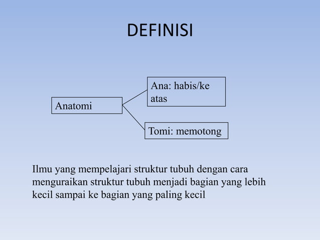 Terminologi anatomi | PPTX